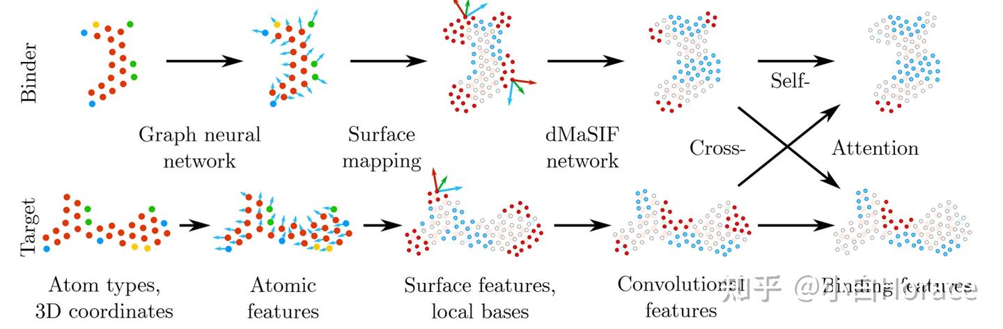 【AIDD系列】MaSIF系列论文详解，揭开蛋白表面指纹的面纱 - 知乎