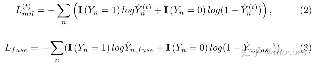Transformer based multiple instance learning for weakly supervised histopathology image ...