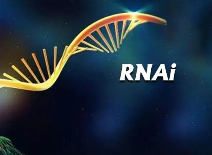 siRNA转染实验步骤及实验要点（附不同培养板转染体系参考） - 知乎