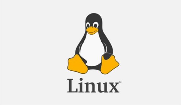 【技术浅谈】Linux的目录结构与基本命令 - 知乎