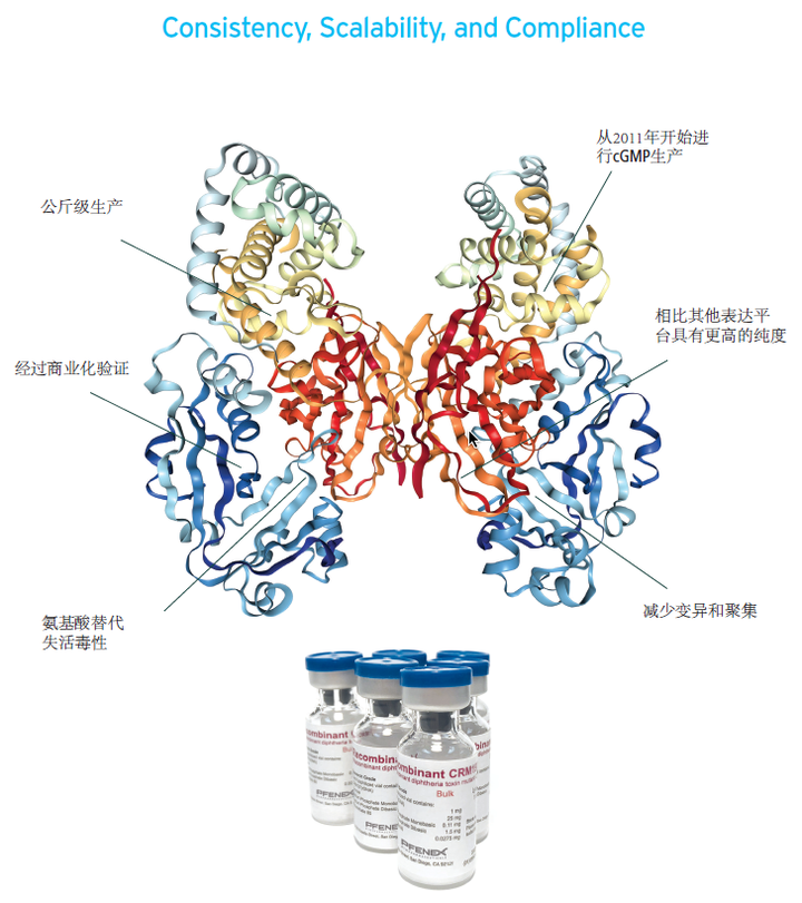 cGMP等级 CRM197——已用于批准上市的结合疫苗-Pfenex-上海曼博生物 - 知乎