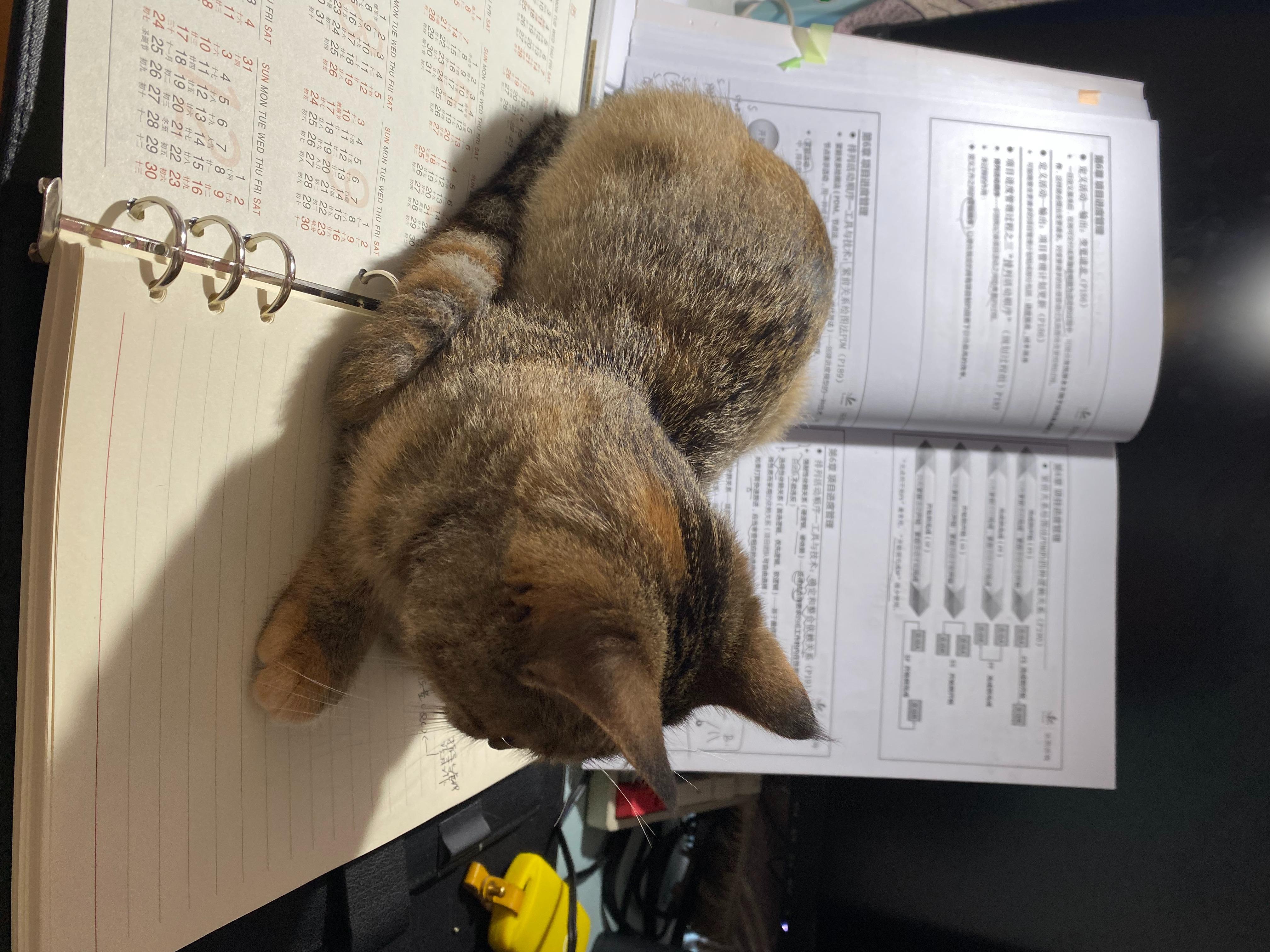 PMP3A秘籍，速收藏 - 知乎