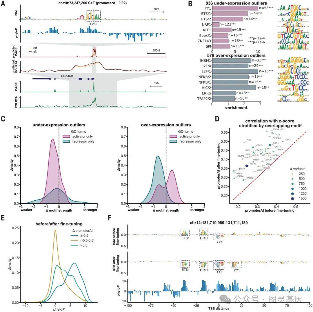 Science | 深度学习新突破！PromoterAI 精准捕捉启动子变异，为罕见病基因诊断添新力 - 知乎