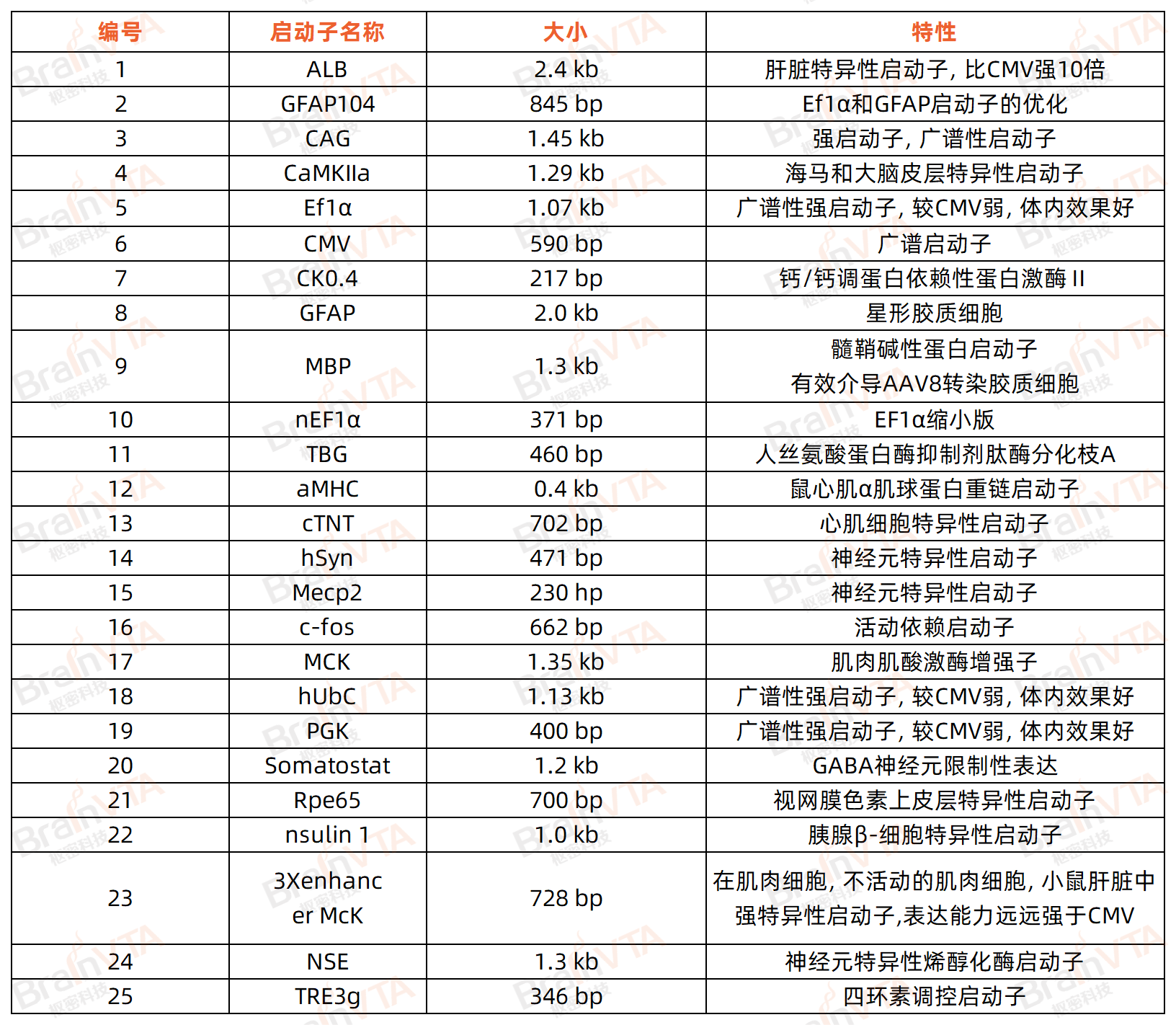 什么是腺相关病毒AAV？有什么特性？ - 知乎