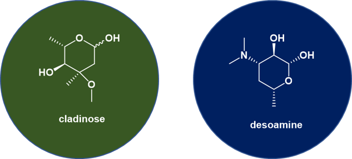 大环内酯（Macrolides）类抗生素药物综述 - 知乎