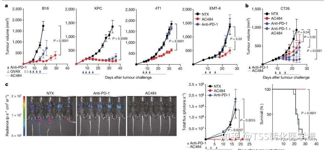 【Nature】磷酸酶PTPN2/PTPN1双抑制剂AC-484显示出有效的抗肿瘤免疫活性 - 知乎