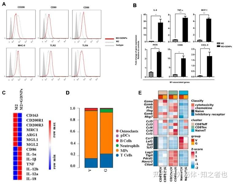 来自水果、蔬菜和草药的外泌体样纳米颗粒：治疗和药物传递的创新策略 - 知乎