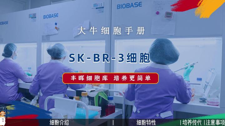 SK-BR-3细胞培养，人乳腺癌细胞培养攻略-丰晖生物 - 知乎