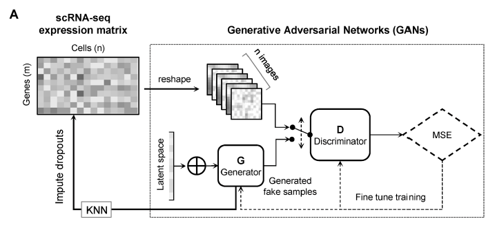 Nucleic Acids Res|scIGANs: 使用生成对抗网络进行scRNA-seq数据插补 - 知乎