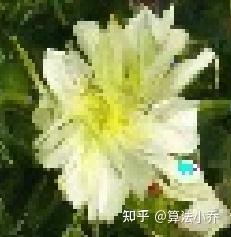 AIGC之Diffusion-DDPM去噪扩散概率模型理论知识详解 - 知乎