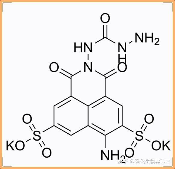 71206-95-6，Lucifer Yellow CH 二钾盐，用来研究细胞形态 - 知乎