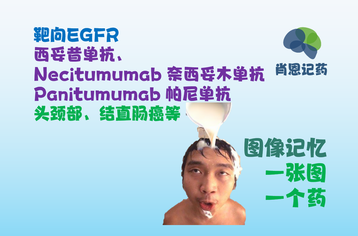 记住所有FDA生物药 | 3款EGFR生物制剂 | 西妥昔单抗、帕尼单抗、Necitumumab | 头颈部、结直肠癌等 - 知乎