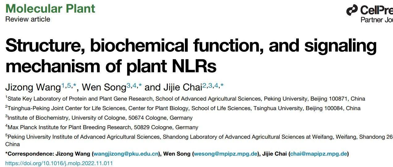 Mol Plant | 柴继杰教授综述植物NLRs的结构、生化功能及信号传导机制 - 知乎