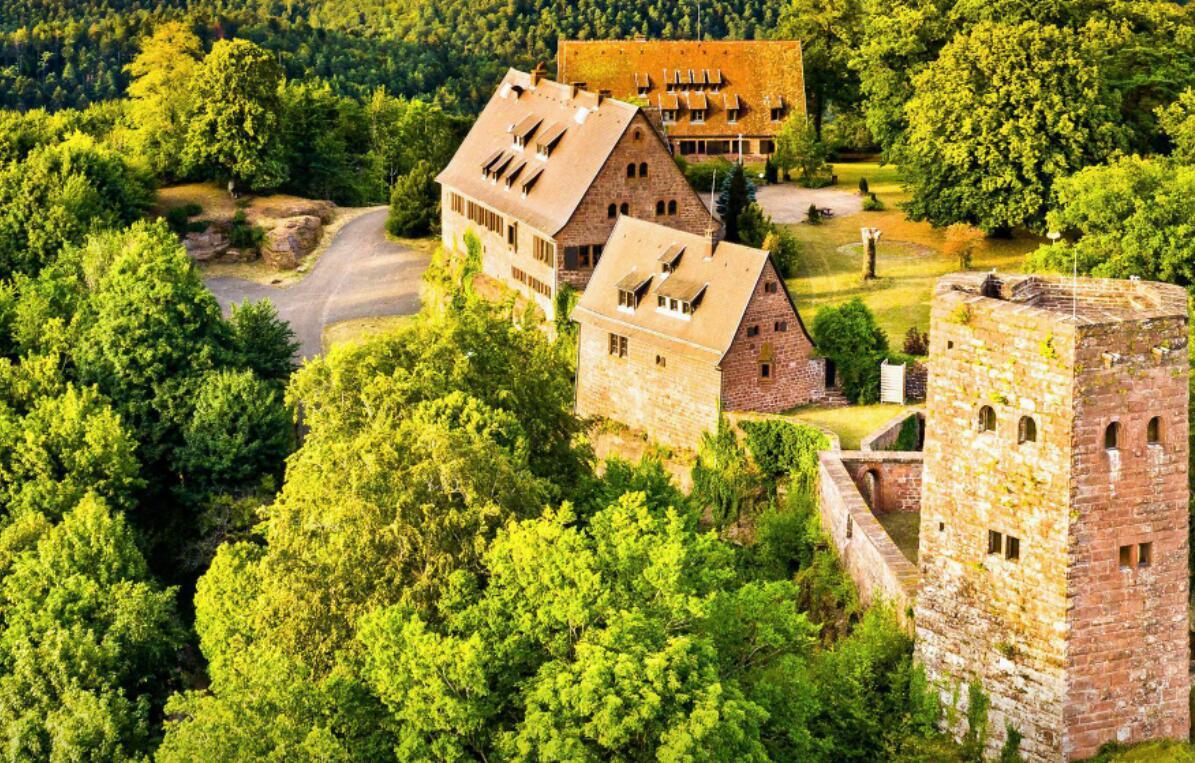 记录 mmdeploy 部署 ViT 到 ncnn - 知乎