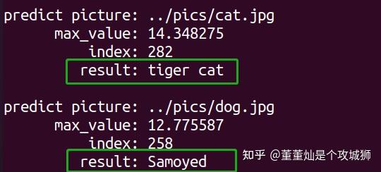 从零手写Resnet50实战——利用 torch 识别出了虎猫和萨摩耶 - 知乎