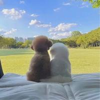 用最小二乘法求解超定方程组 - 知乎