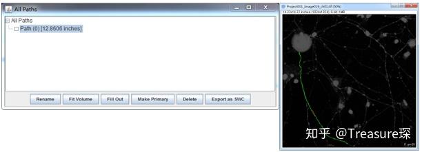 ImageJ实用技巧——Simple Neurite Tracer(插件篇) - 知乎