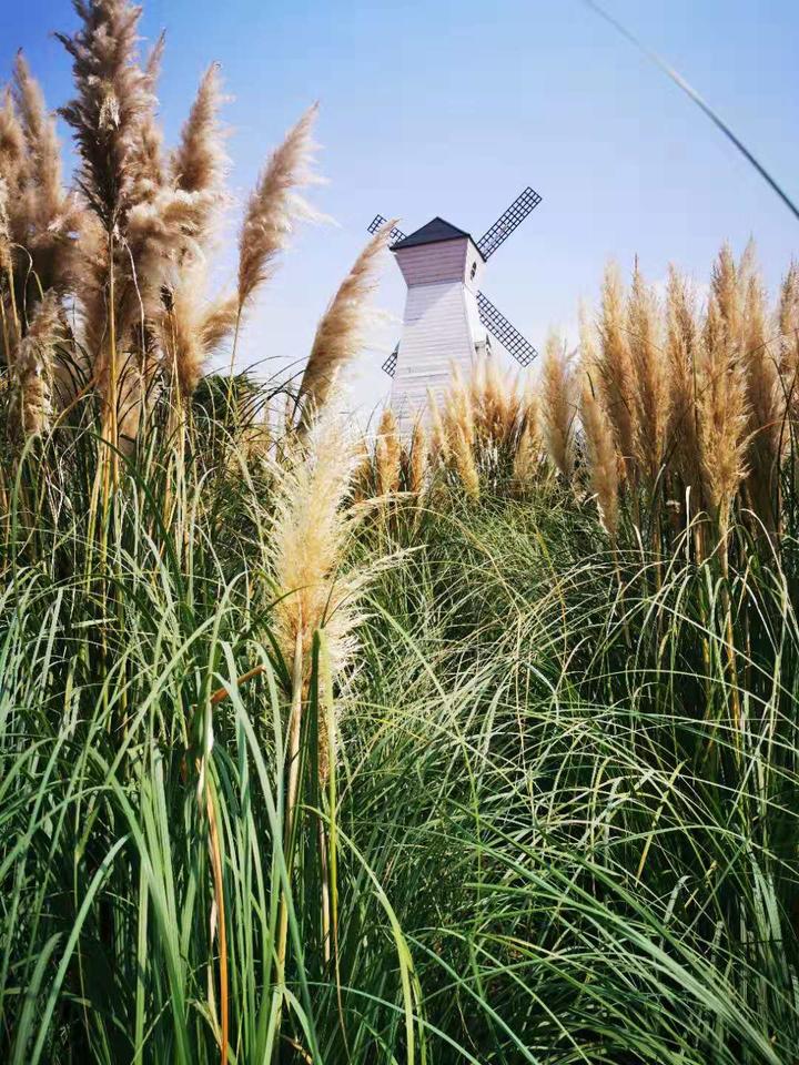 Learn Rust by Example - 知乎