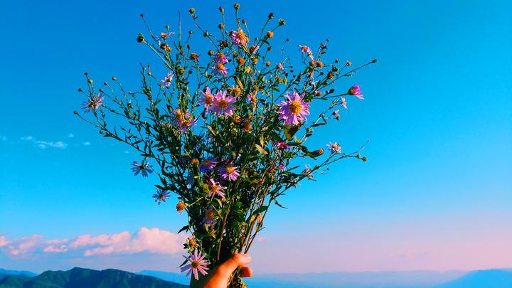 十四烷基三甲基溴化铵UN3263液态8类危险品海运货代出口介绍 - 知乎