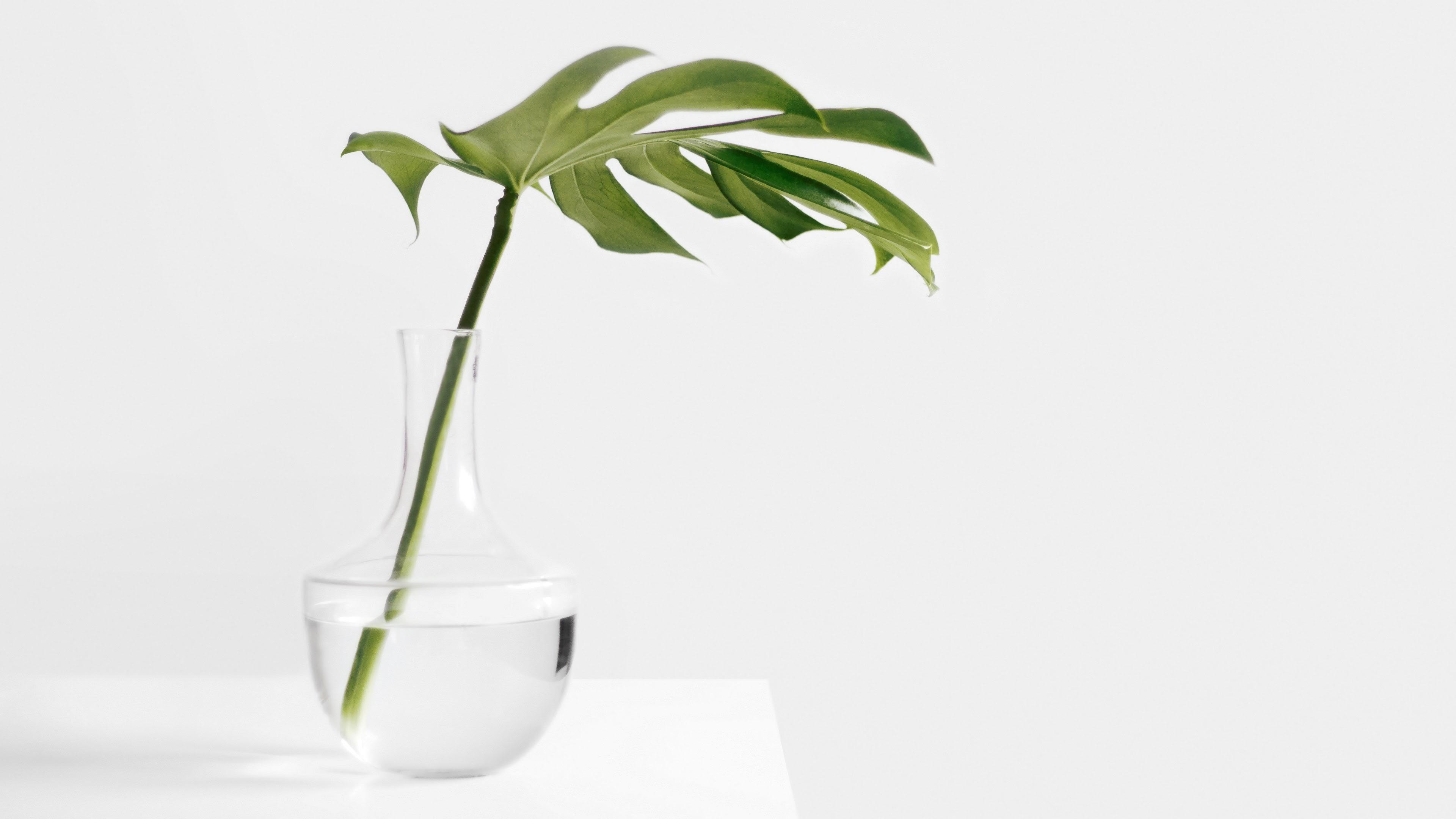 Collection包中Counter的8种操作 - 知乎