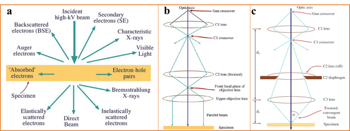 介绍两种照射模式下的TEM透射电子显微镜 - 知乎
