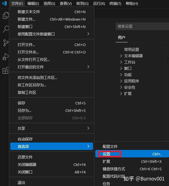 vscode的代理设置 - 知乎