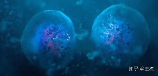 如何评价电影《超体》（Lucy）？ - 知乎