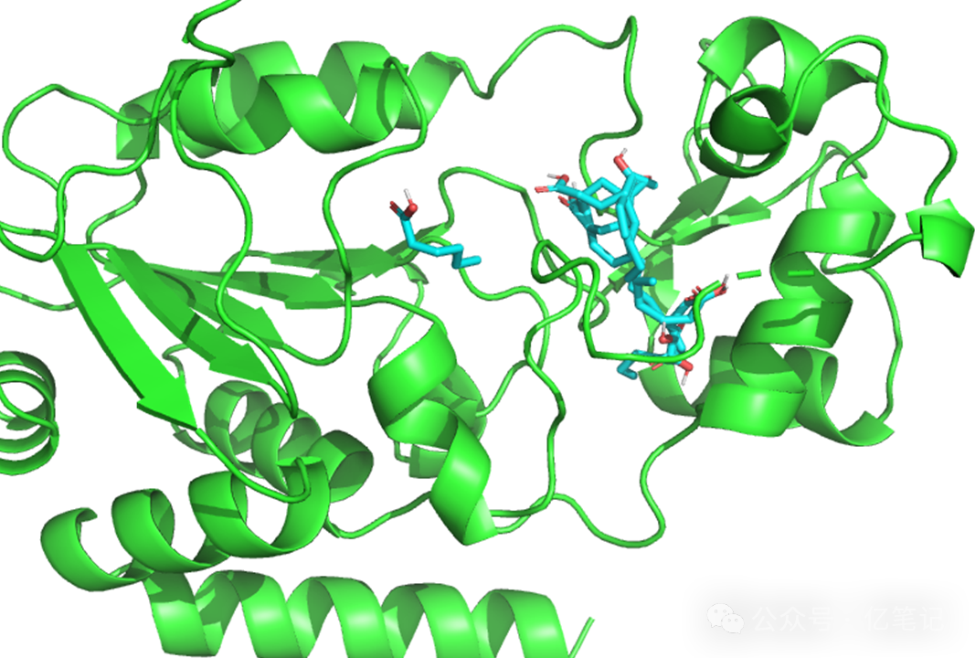 smina 软件进行蛋白小分子的分子对接（三）：未知结合位点信息的蛋白配体小分子盲对接 - 知乎