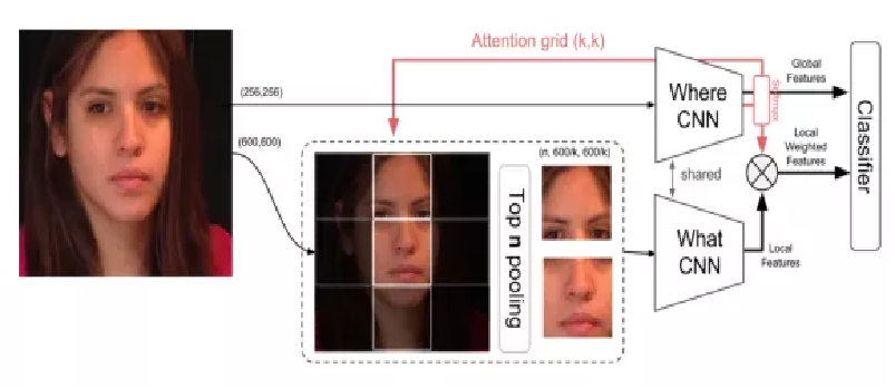 一篇弄懂人脸年龄估计 - 知乎