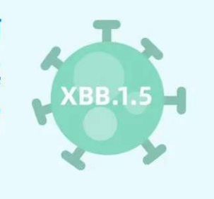 国内首次检出新冠病毒XBB.1.5毒株，具体情况如何？是否会引发二次感染？ - 知乎