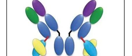 BioAtla条件性pH激活抗 EpCAM x CD3 双特异性抗体设计 - 知乎