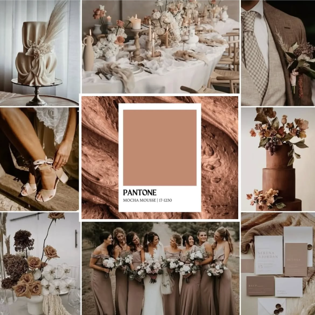 Pantone发布2025年度代表色：摩卡慕斯 - 知乎