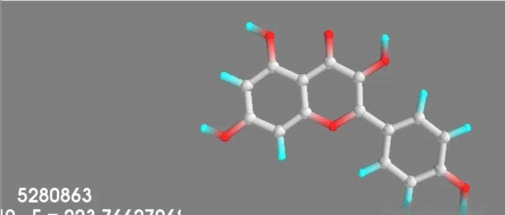 采用PyRx-Vina, DS和PyMol进行对接和分析结果 - 知乎