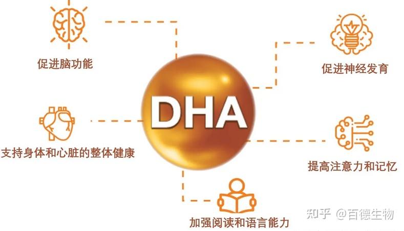 什么是二十二碳六烯酸？DHA具体能干什么？ - 知乎