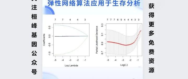 MachineLearning 26. 机器学习之弹性网络算法应用于生存分析 (Enet) - 知乎