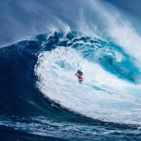 UE引擎几种网络模式（NetMode）说明、网络角色（ENetRole）、LocalController - 知乎