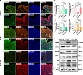 AbMole丨Dehydroepiandrosterone（DHEA）在代谢中的科研应用 - 知乎