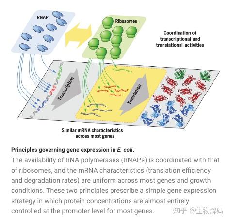 每日文摘 | 2022年12月10日 - 知乎