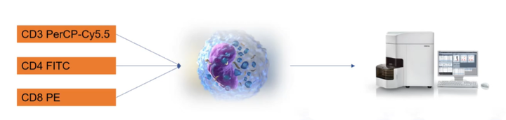 流式细胞术（Flow Cytometry）免疫分型检测 - 知乎
