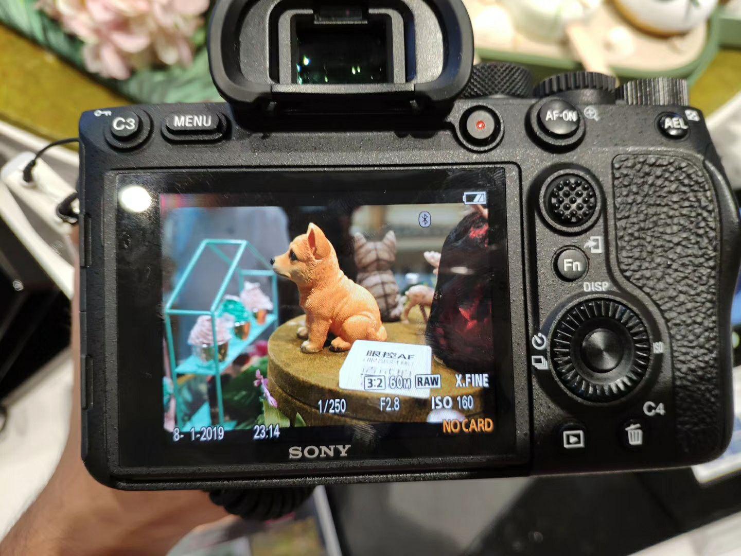 如何评价索尼在2019年7月16日发布的A7R4? - 知乎