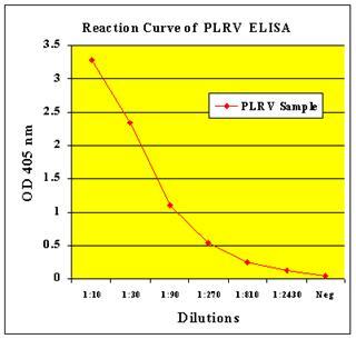 马铃薯卷叶病毒检测Potato Leaffoll Rolero virs PLRV - 知乎