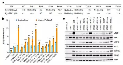 【Origin】使用merge工具“拼图” - 知乎