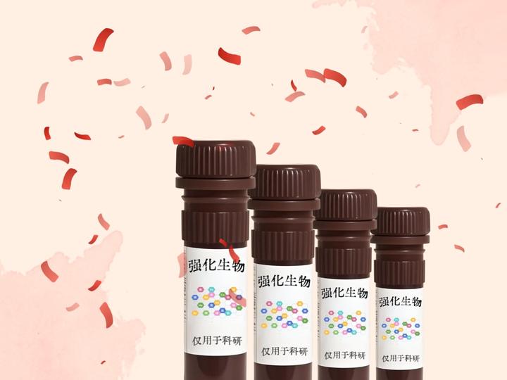 试剂LysoSensor Yellow/Blue DND-160的细胞染色步骤大公开！ - 知乎