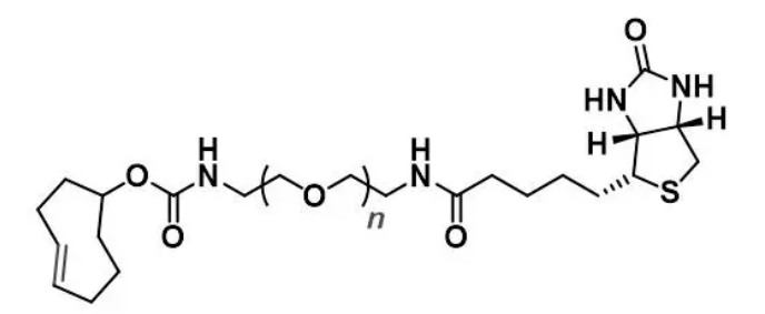 TCO-PEG-Biotin,TCO-PEG-FA,反式环辛烯-聚乙二醇-生物素,叶酸 - 知乎