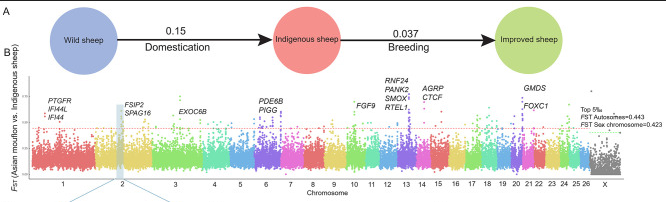混池测序(Pool-Seq)Fst分析 - 知乎