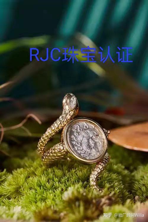 什么是RJC? - 知乎