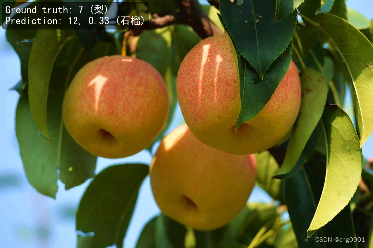 MMPretrain实战--基于水果&猫狗数据集使用mim工具训练测试分析结果与含中文字符的可视化 - 知乎