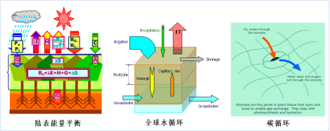 Python支持下最新Noah-MP陆面模式 - 知乎