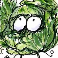 一文简要介绍相机的统一投影模型 unified camera model - 知乎