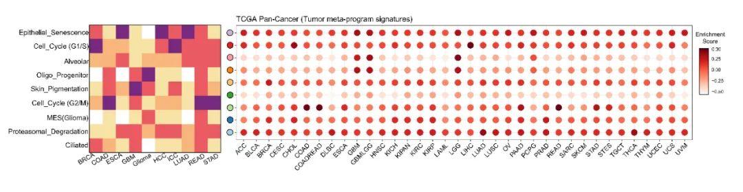 单细胞lncRNA如何分析？VITA助你一臂之力！ - 知乎